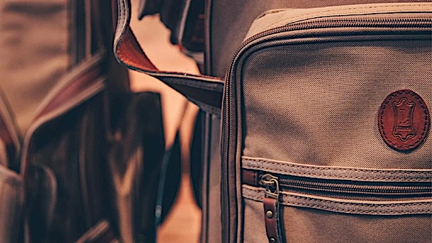 Gig Bags – Levy's Leathers